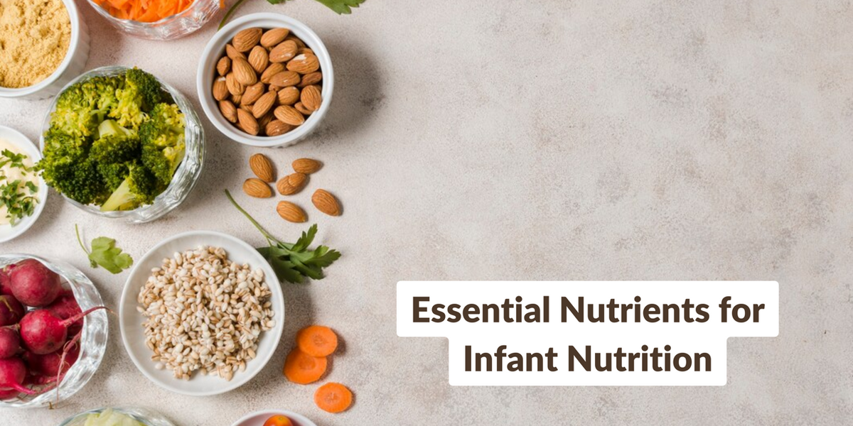 Guide to Infant Nutrition: Essential Nutrients Every Parent Should Know